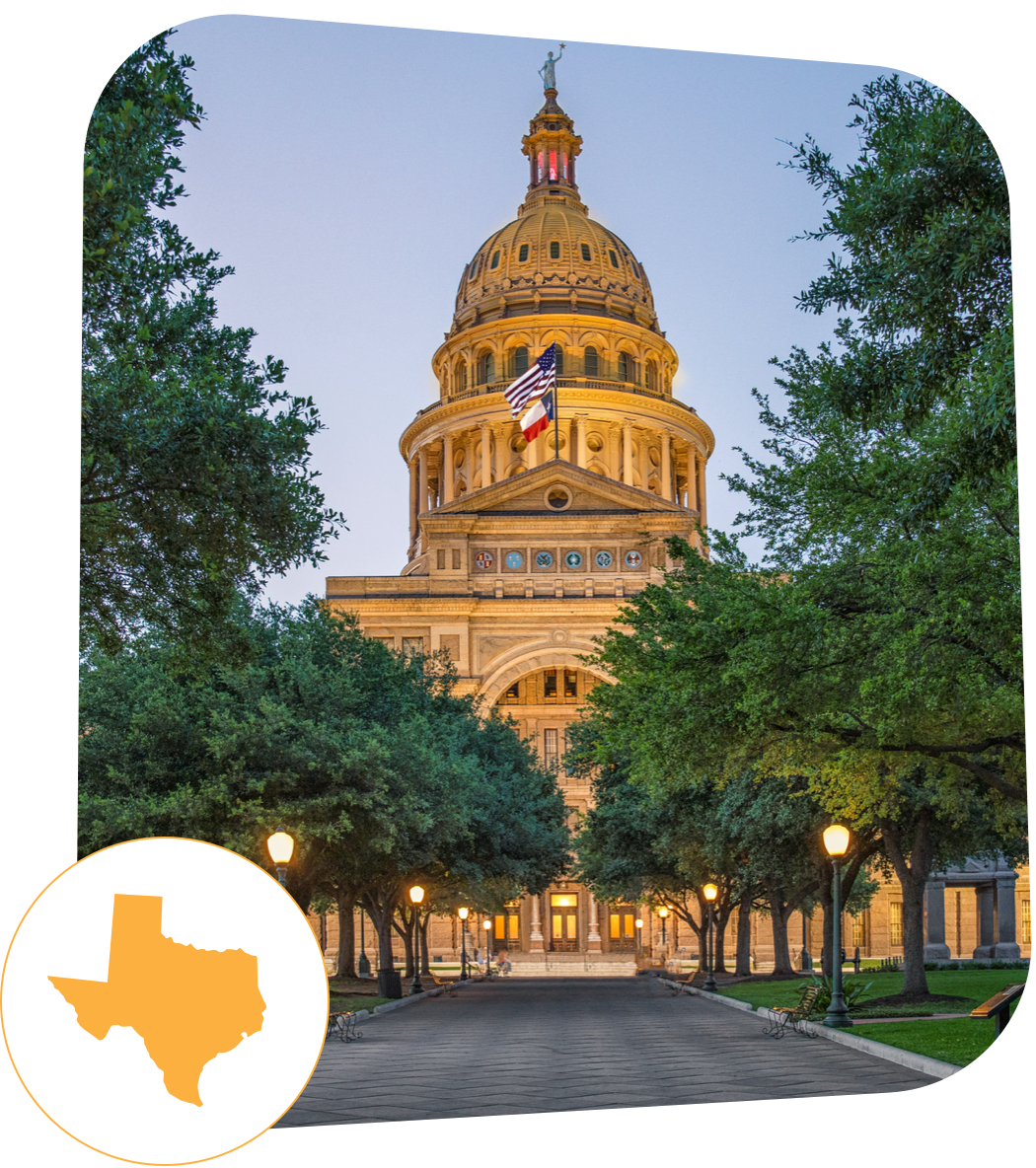 SmartLab Learning By State | Texas