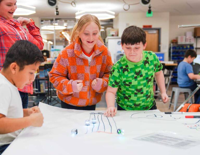 Project Examples: Teaching STEM Through PBL